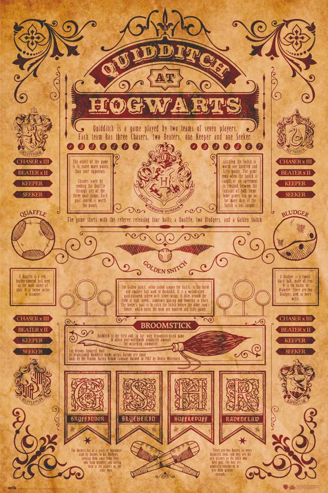 POSTER HARRY POTTER QUIDDITCH (61CM X 91,5CM) 19 - Madakiba